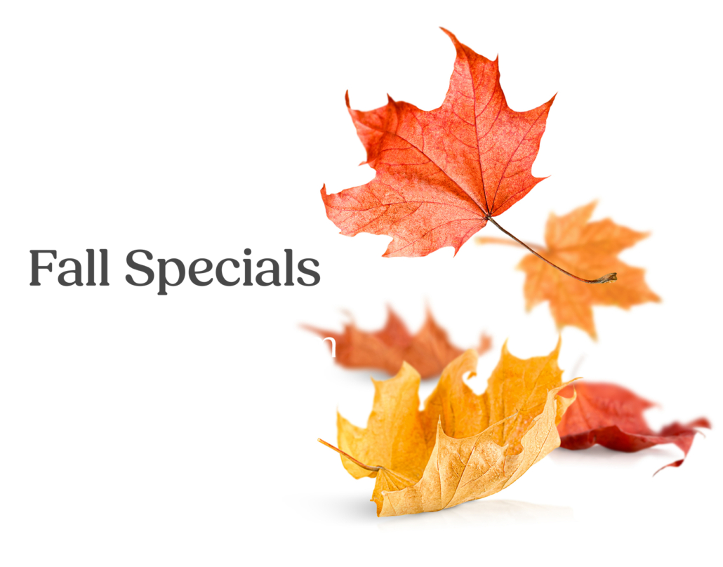 Spirit Spa | Monthly Specials